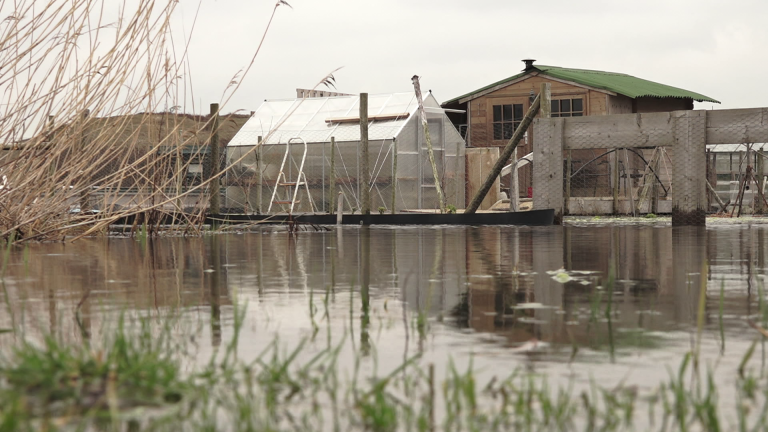 Studenten moeten verzopen Egmondse duinlandjes redden: “De lankies ...